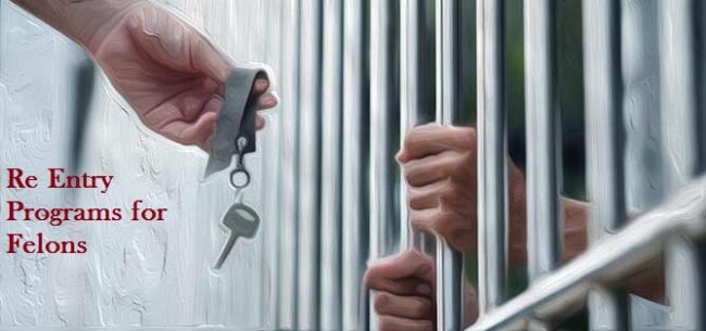 Re Entry Program for Felons Across States [year]